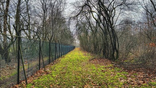 Homepage | Sociale Agenda 2024-2029